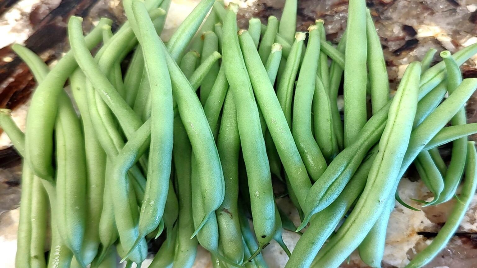 How to Grow Beans - Garden with Amber